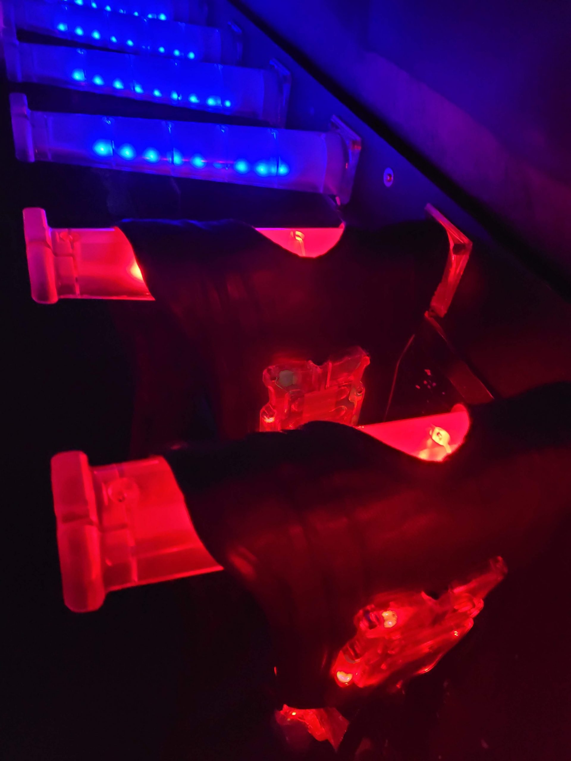 LaserZone Birthday Parties: Our Review of their Brighton Venue